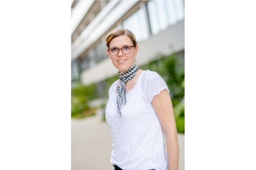 Principal Investigators