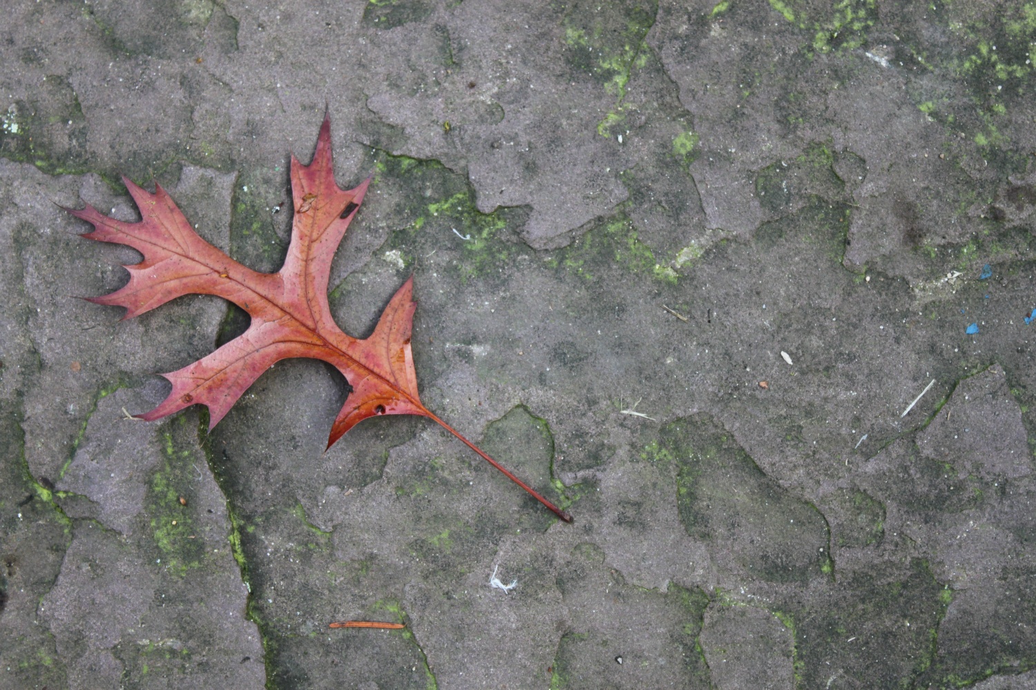 Minimalistisch: Natur