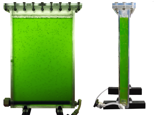 Photobioreactor Design